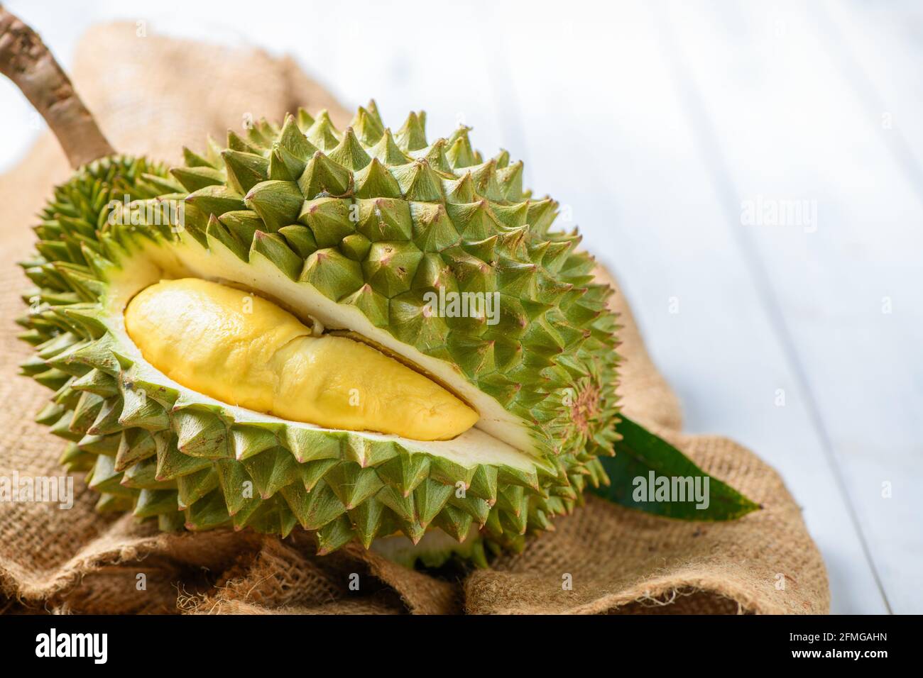 Chani hi-res stock photography and images - Alamy