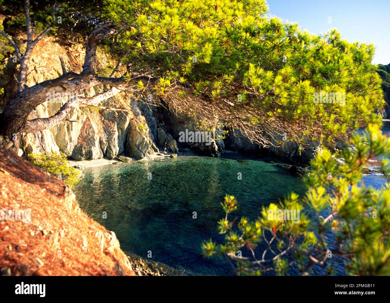 Small cove on the Giens peninsula Stock Photo - Alamy