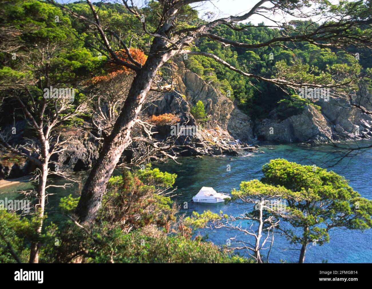 Small cove on the Giens peninsula Stock Photo - Alamy