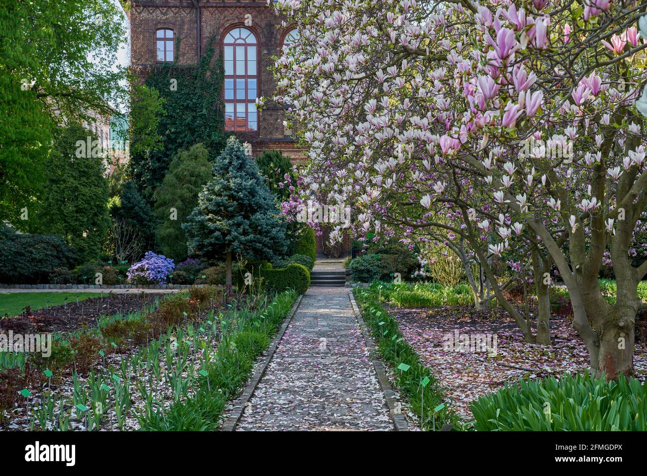 Botanical Gardens in the spring Wroclaw Lower Silesia Poland Stock ...