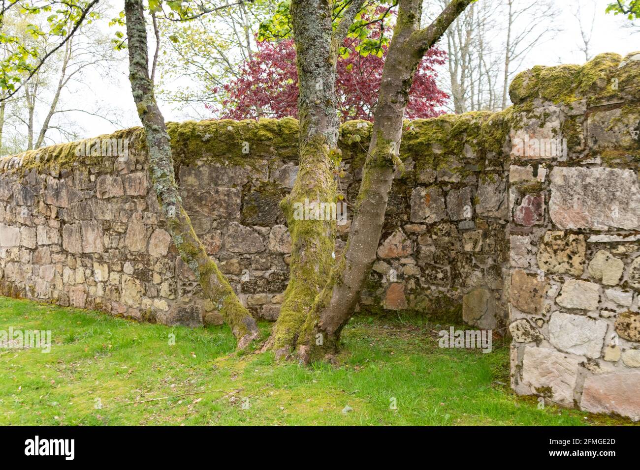 Curved stone wall hi-res stock photography and images - Alamy