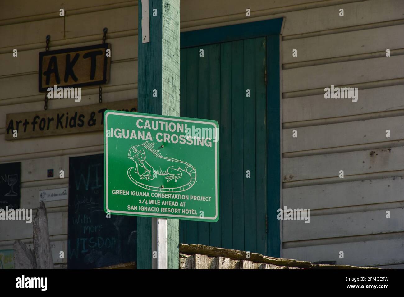 An iguana crossing sign in San Ignacio, a small town in Belize Stock ...