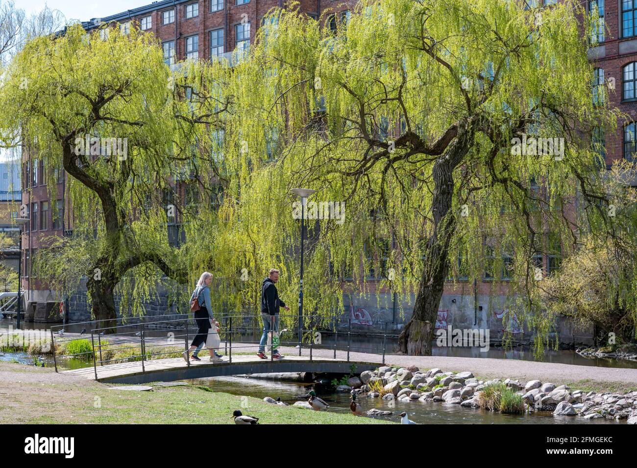 Waterfront park Stromparken during spring (early May) 2021 in ...