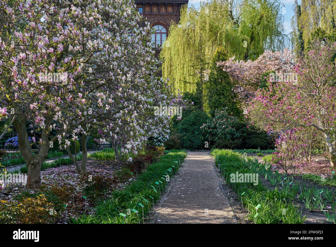 Botanical Gardens in the spring Wroclaw Lower Silesia Poland Stock ...