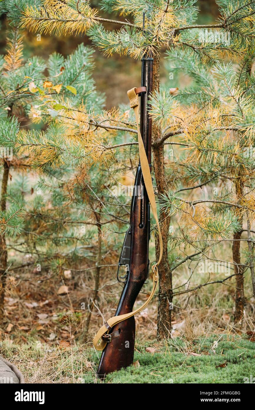Old Soviet Russian Mosin-Nagant M91 Rifle Of World War II Leaning ...