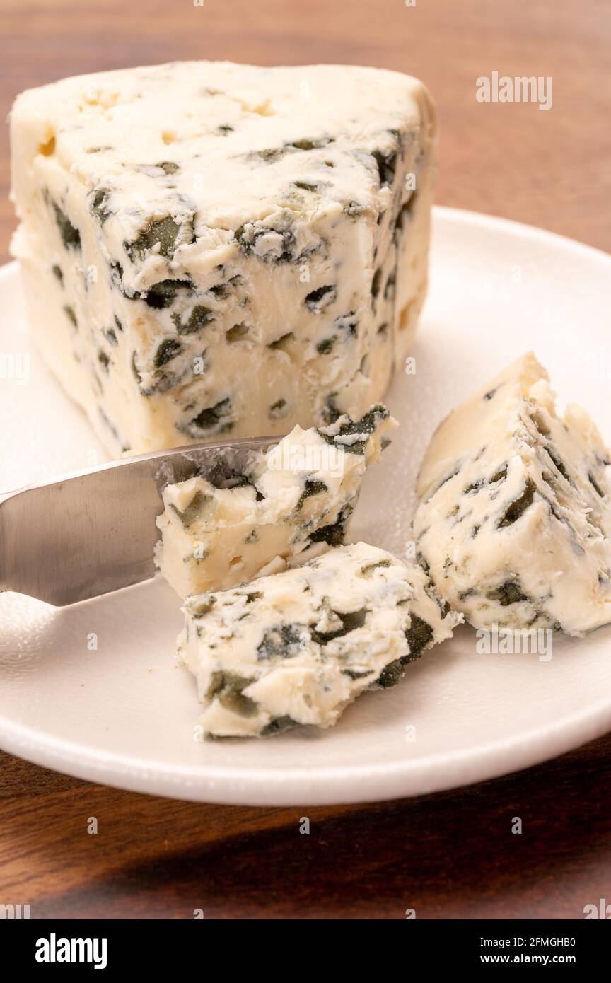 Cheese collection, piece of soft French blue cheese roquefort close up ...