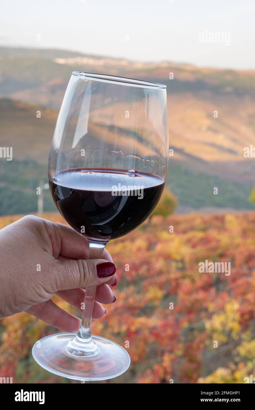 Glass of Portuguese red dry wine, produced in Douro Valley and colorful ...