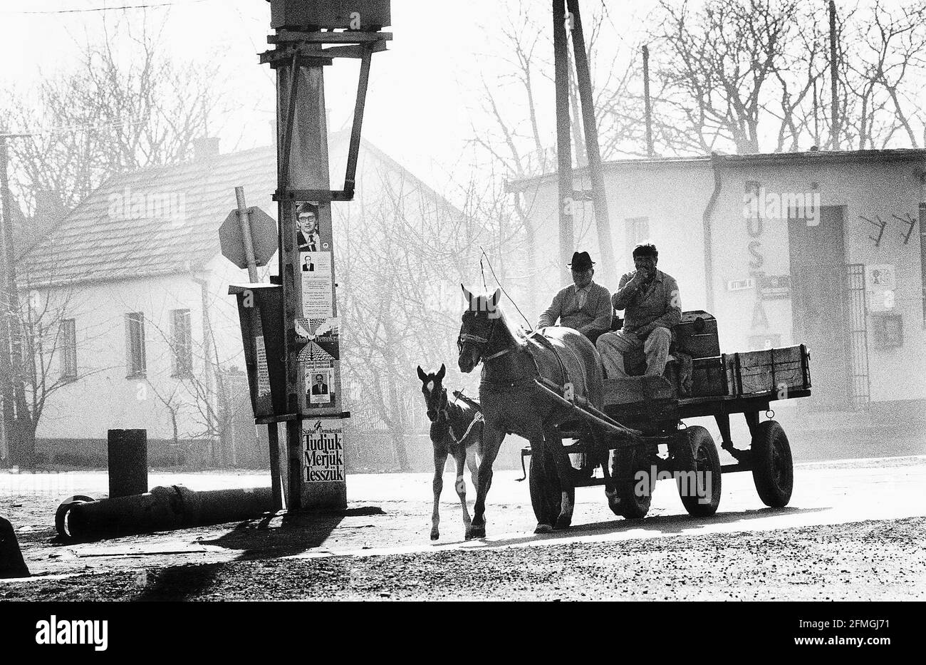 Hungary GYPSY HORSE AND CART PASS ELECTION POSTERS IN VILLAGE OF hodasz ...