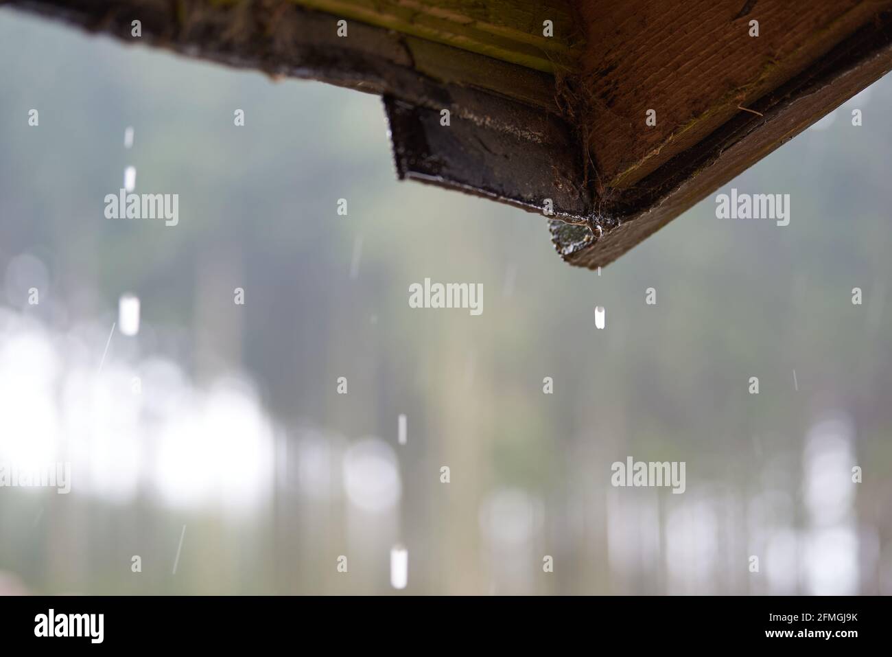Close-up of falling water drops from the roof corner of a shelter on a ...