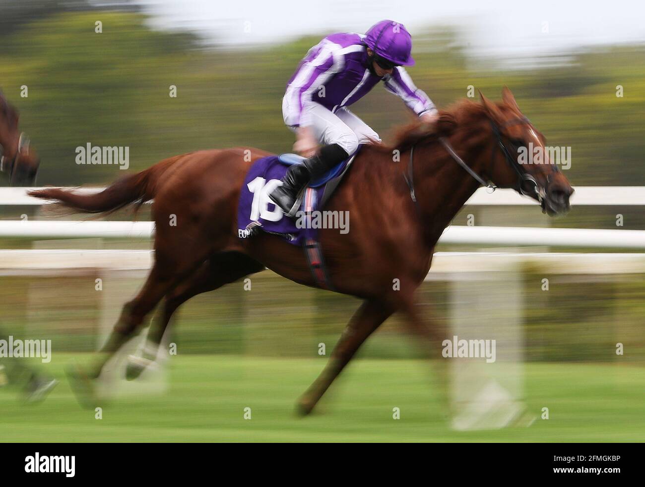 Ryan fitzpatrick 2021 hi-res stock photography and images - Alamy