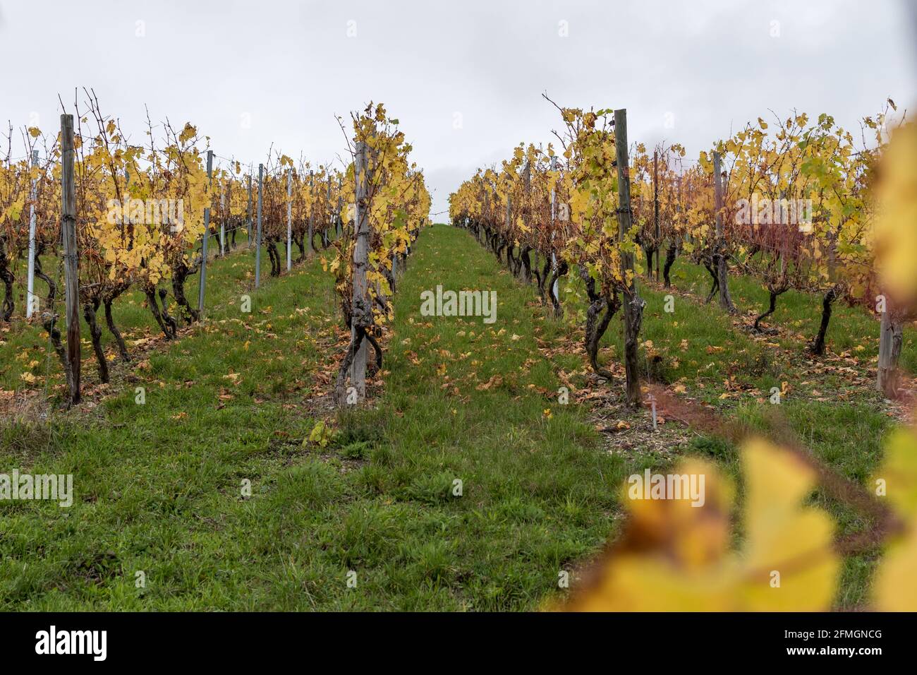 Germany after hi-res stock photography and images - Alamy