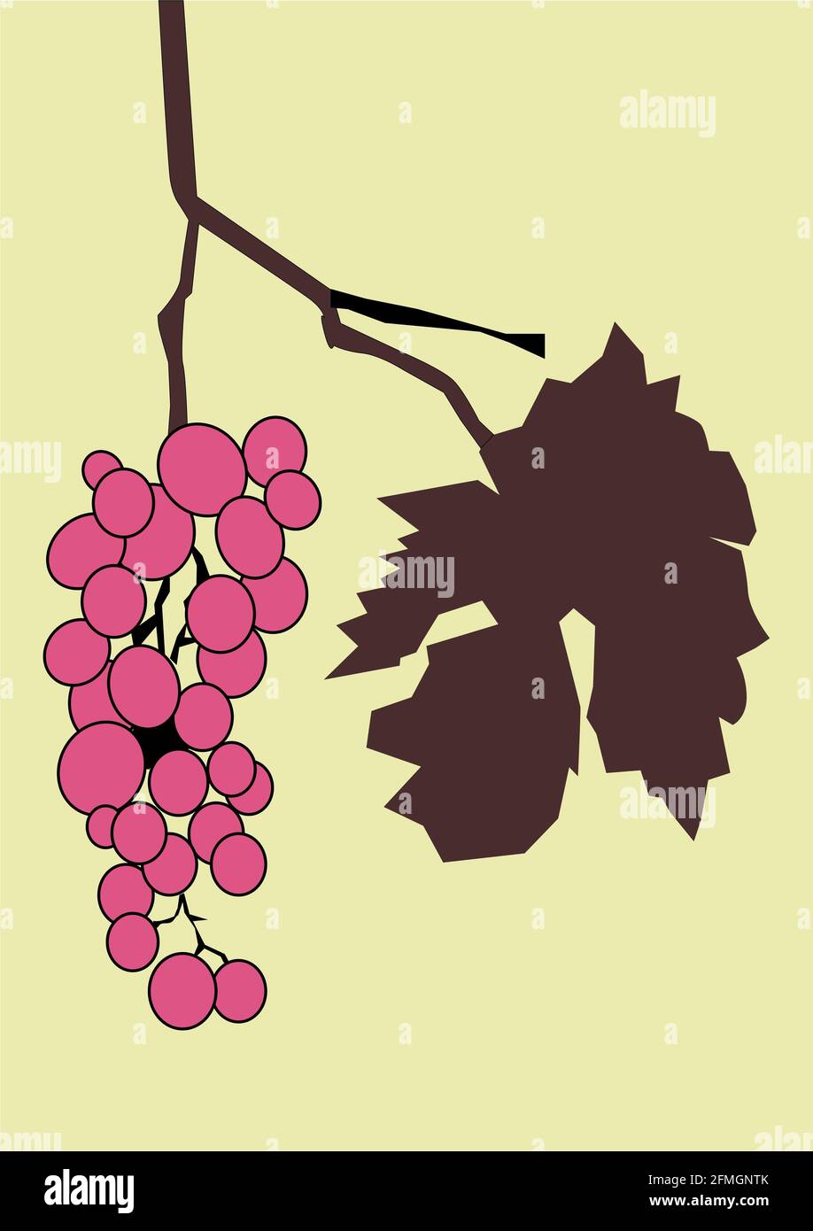 Hoja de racimo de uvas hi-res stock photography and images - Alamy