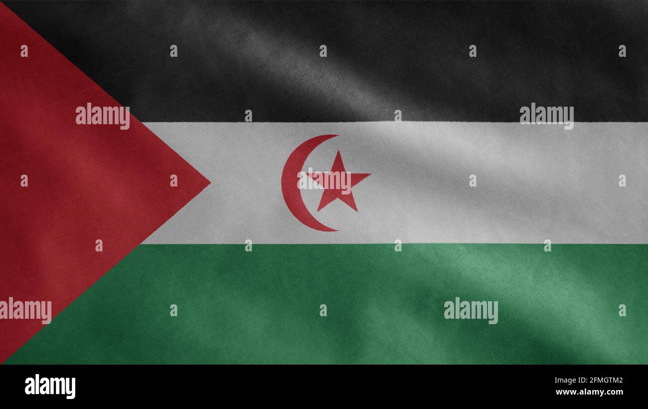 Western Sahara flag waving in the wind. Close up of Sahrawi Arab ...