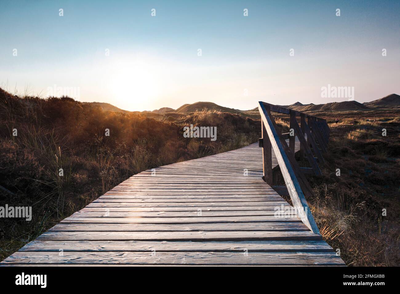 Low angle view of wooden boardwalk with railing leading through ...