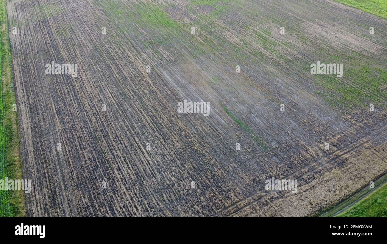 A farm field damaged by bad weather. Aerial view, landscape Stock Photo ...