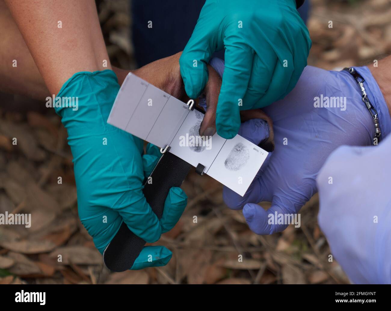 Fingerprint database hi-res stock photography and images - Alamy
