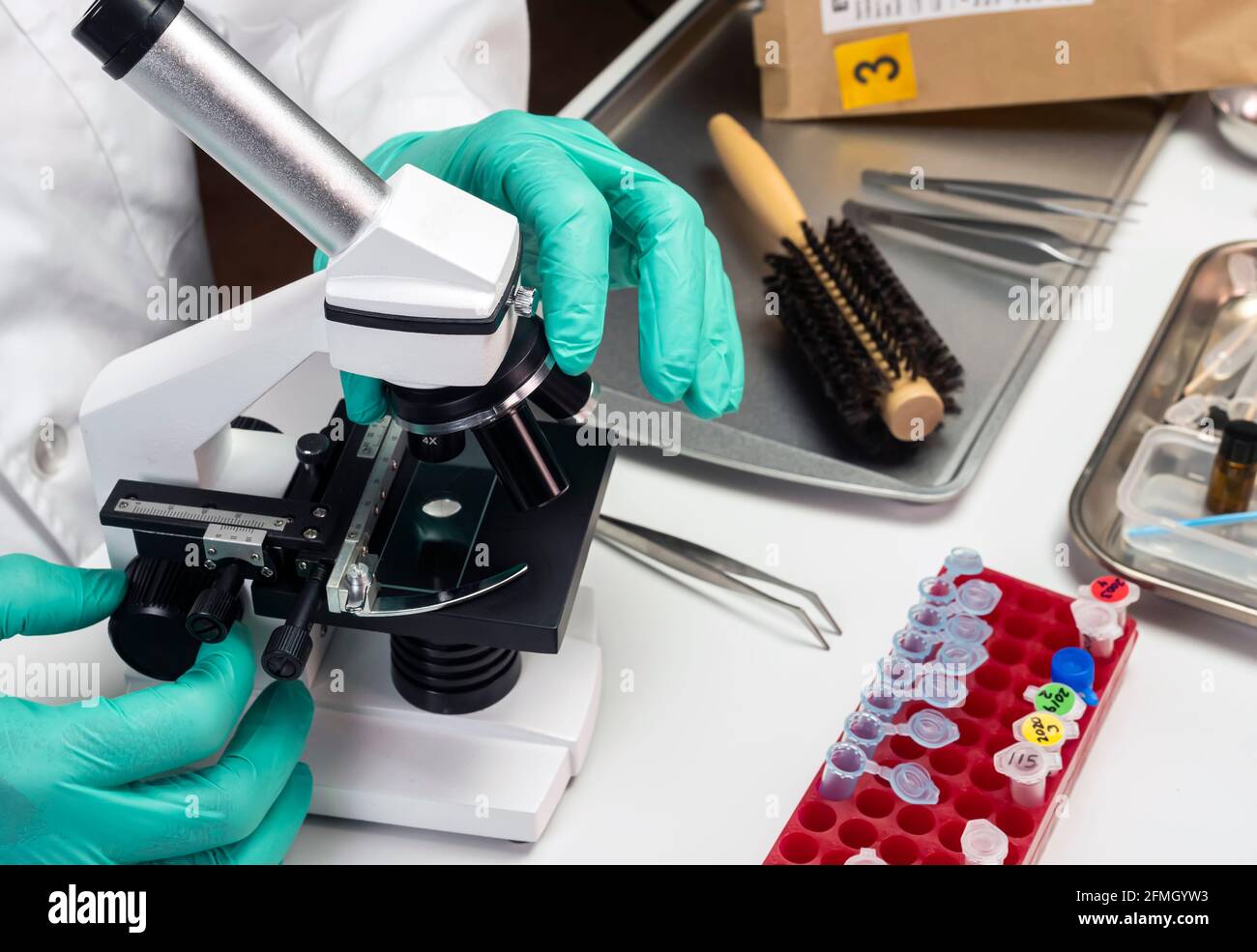 police scientist examines victim's hair under microscope in crime lab ...