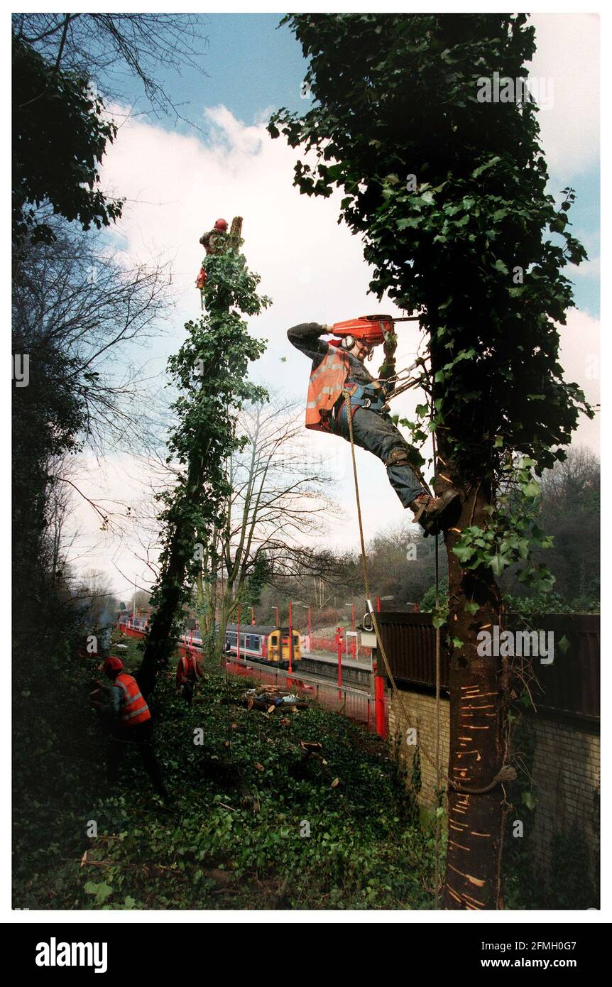 Stop cutting trees hi-res stock photography and images - Alamy