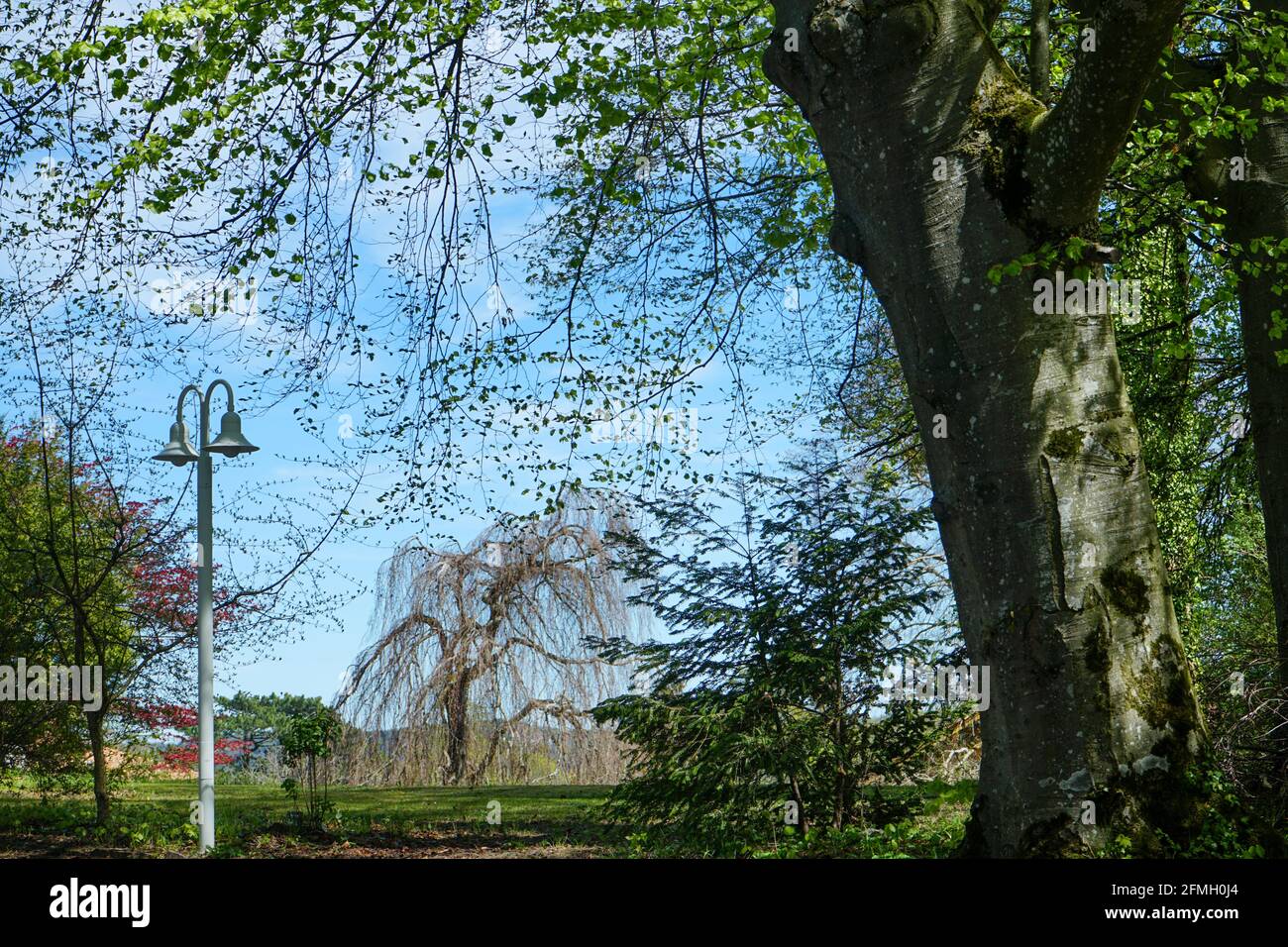 Beautiful park scenery Stock Photo - Alamy