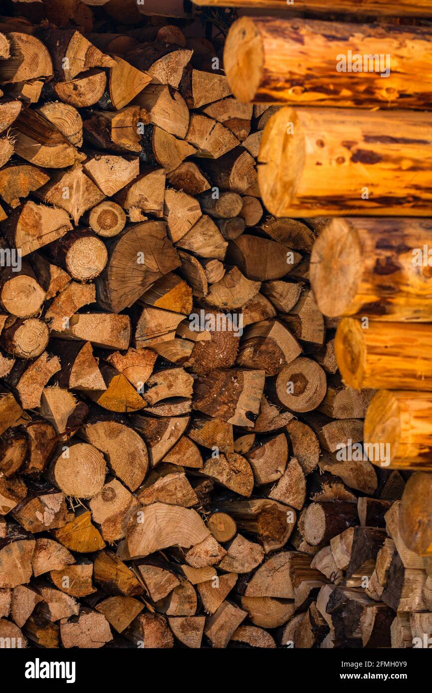 A vertical shot of cut and stacked dry pile of sawing woods Stock Photo ...