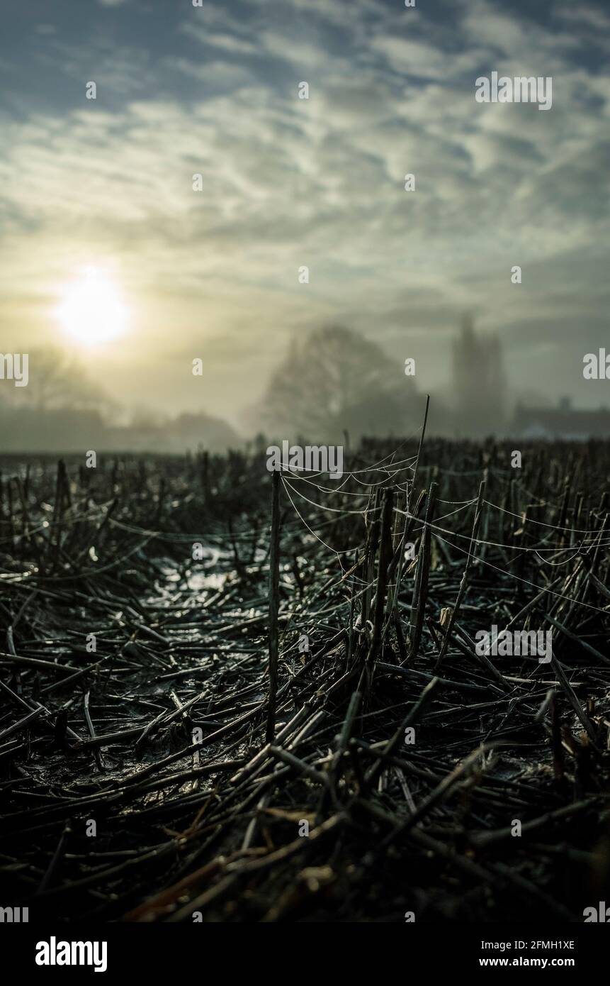 Early winter morning wet and frosty fields in Upstreet Kent England UK ...