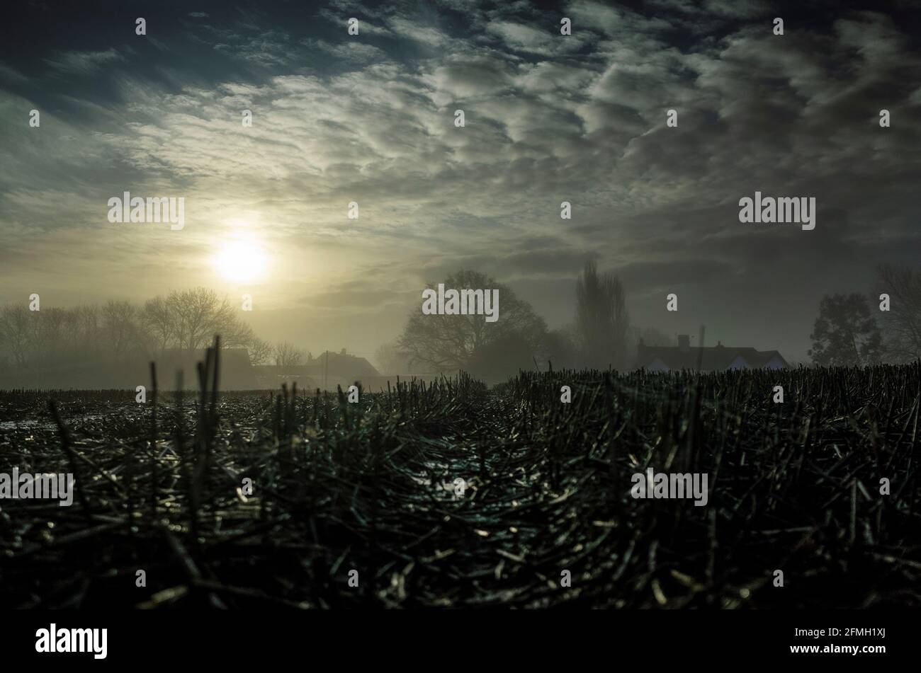 Early winter morning wet and frosty fields in Upstreet Kent England UK ...