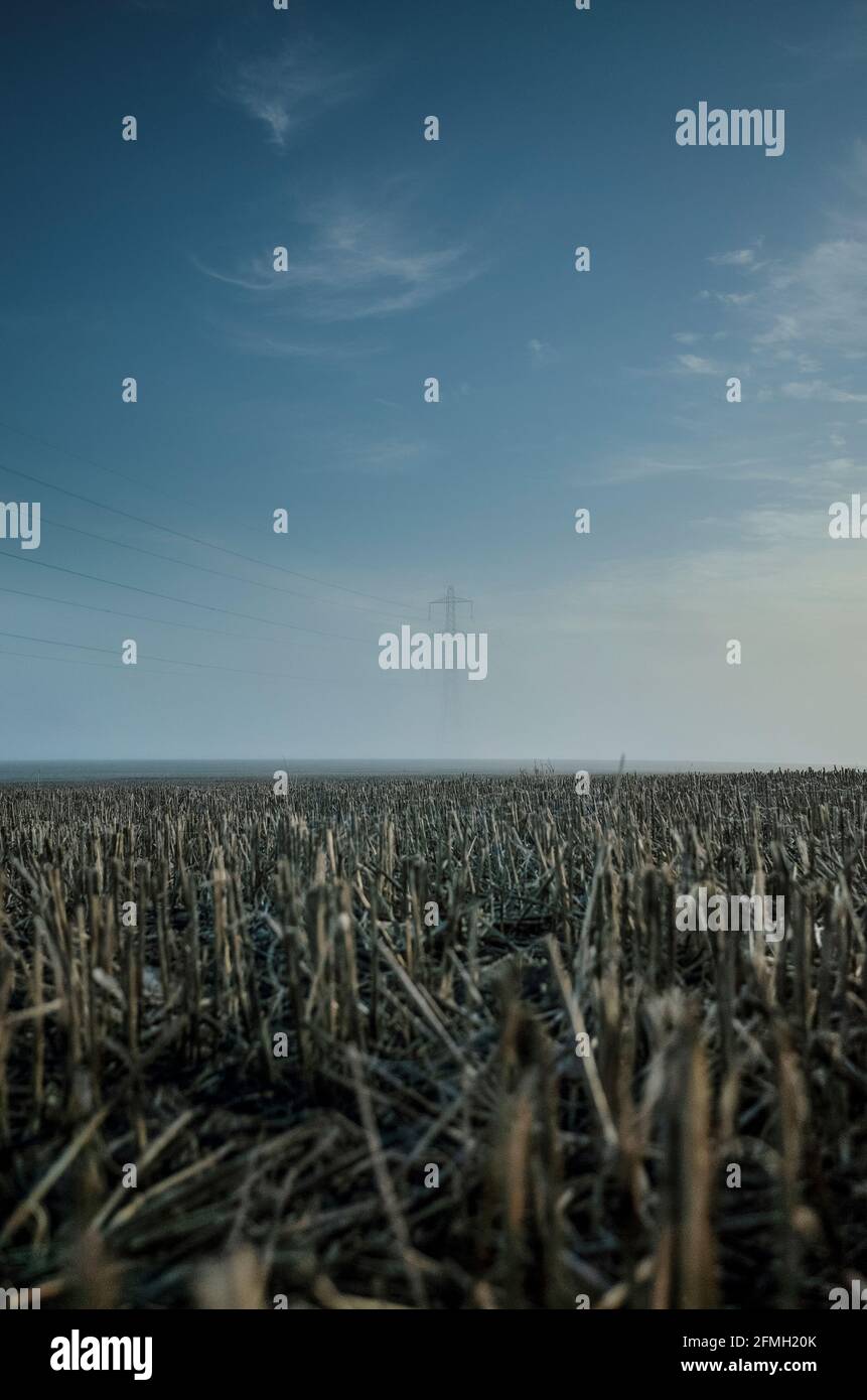 Low angle field mist hi-res stock photography and images - Alamy