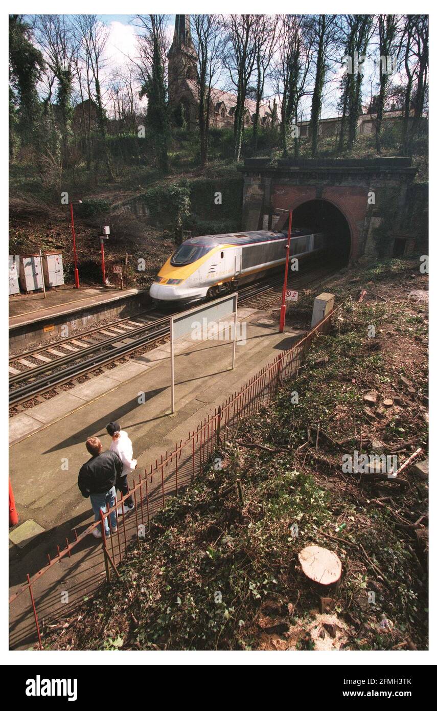 Railway trees Cut Out Stock Images & Pictures - Alamy