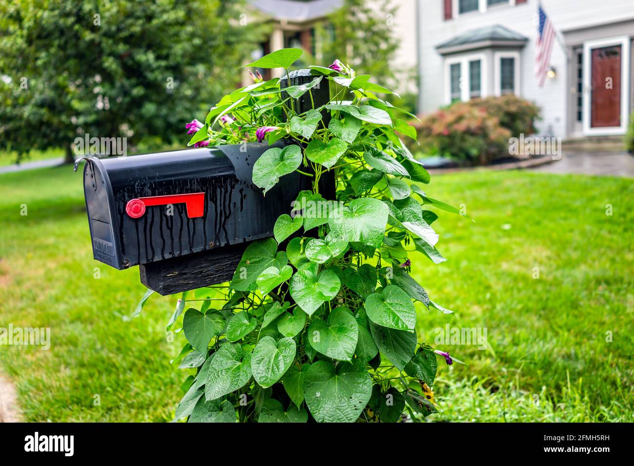 Black generic mailbox at single family home in residential suburbs with ...