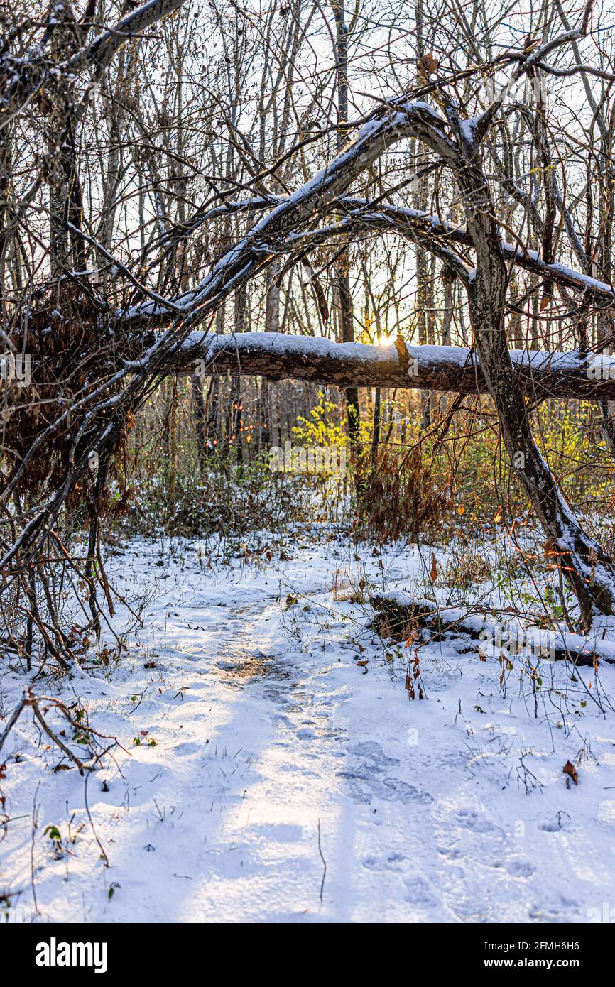 Fairfax county snow hi-res stock photography and images - Alamy