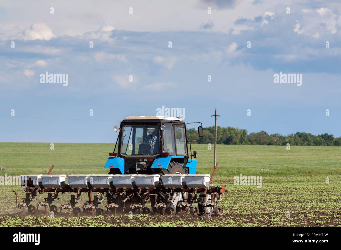 field work in agriculture. farmer's tractor harrows the field after ...