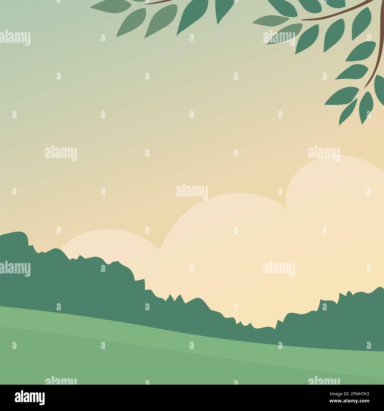 Calm and peaceful summer forest landscape. Green trees and foliage ...