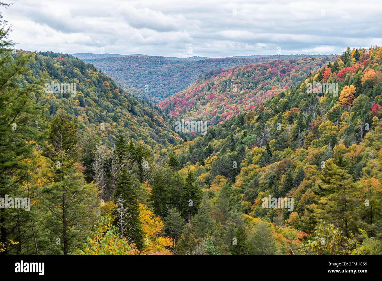 Blackwater river state forest hi-res stock photography and images - Alamy