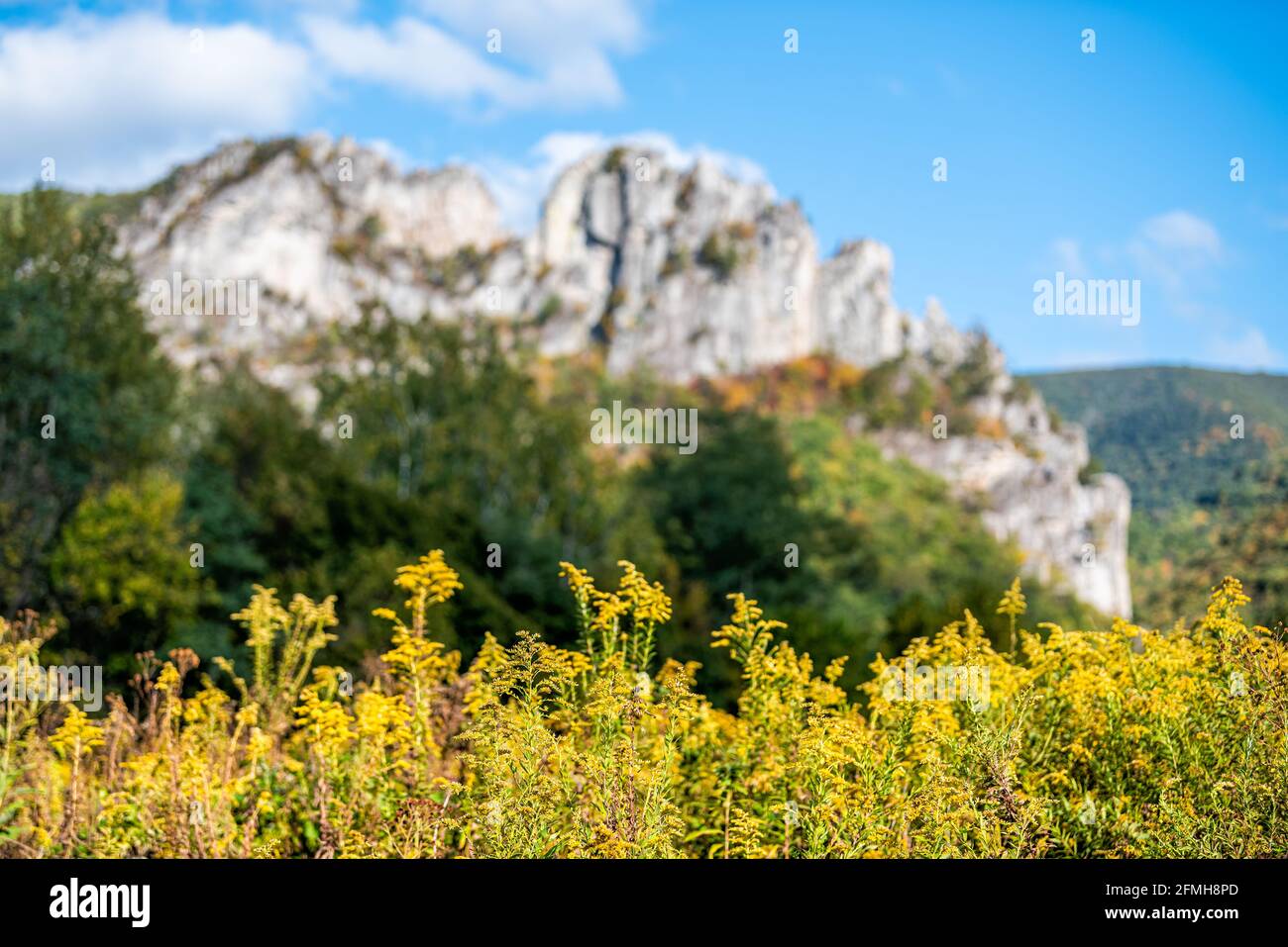 View of Seneca Rocks stone cliffs from visitor center during autumn ...
