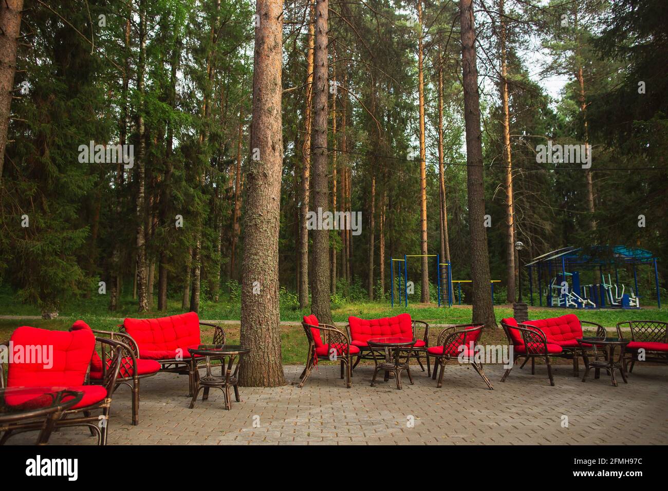 Reds were standing in a summer cafe in the pine forest Stock Photo - Alamy