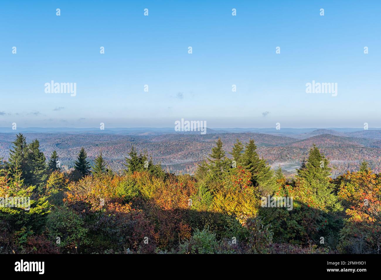 Allegheny mountains hi-res stock photography and images - Alamy