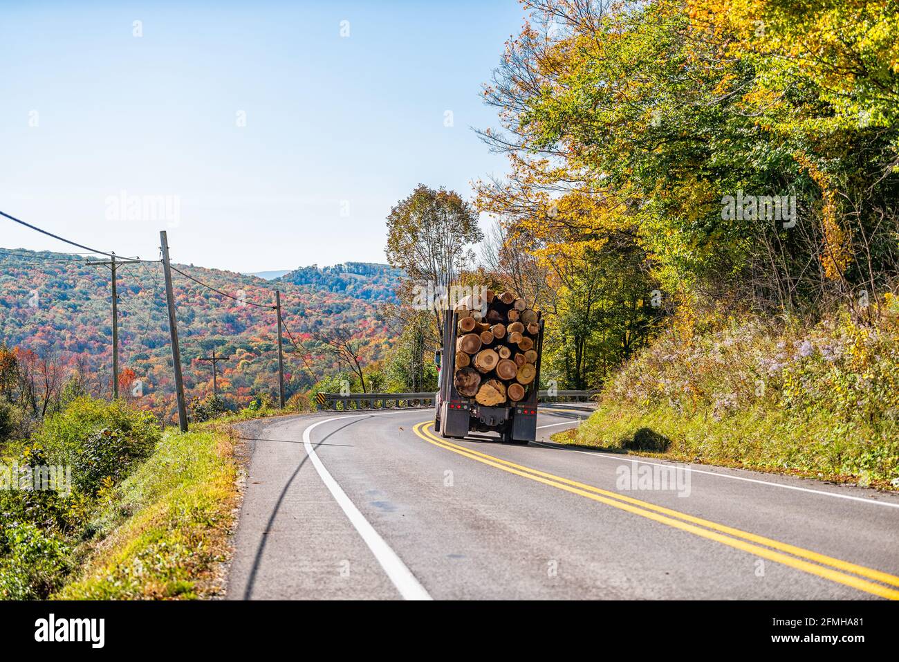 Industrial heavy duty truck trailer hauler delivering wood lumber on ...