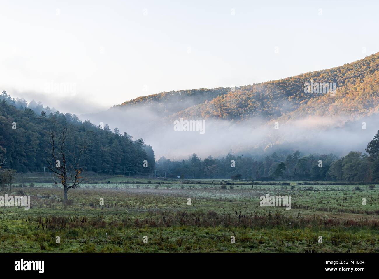 Foggy mist misty rural countryside farming farm field in West Virginia ...
