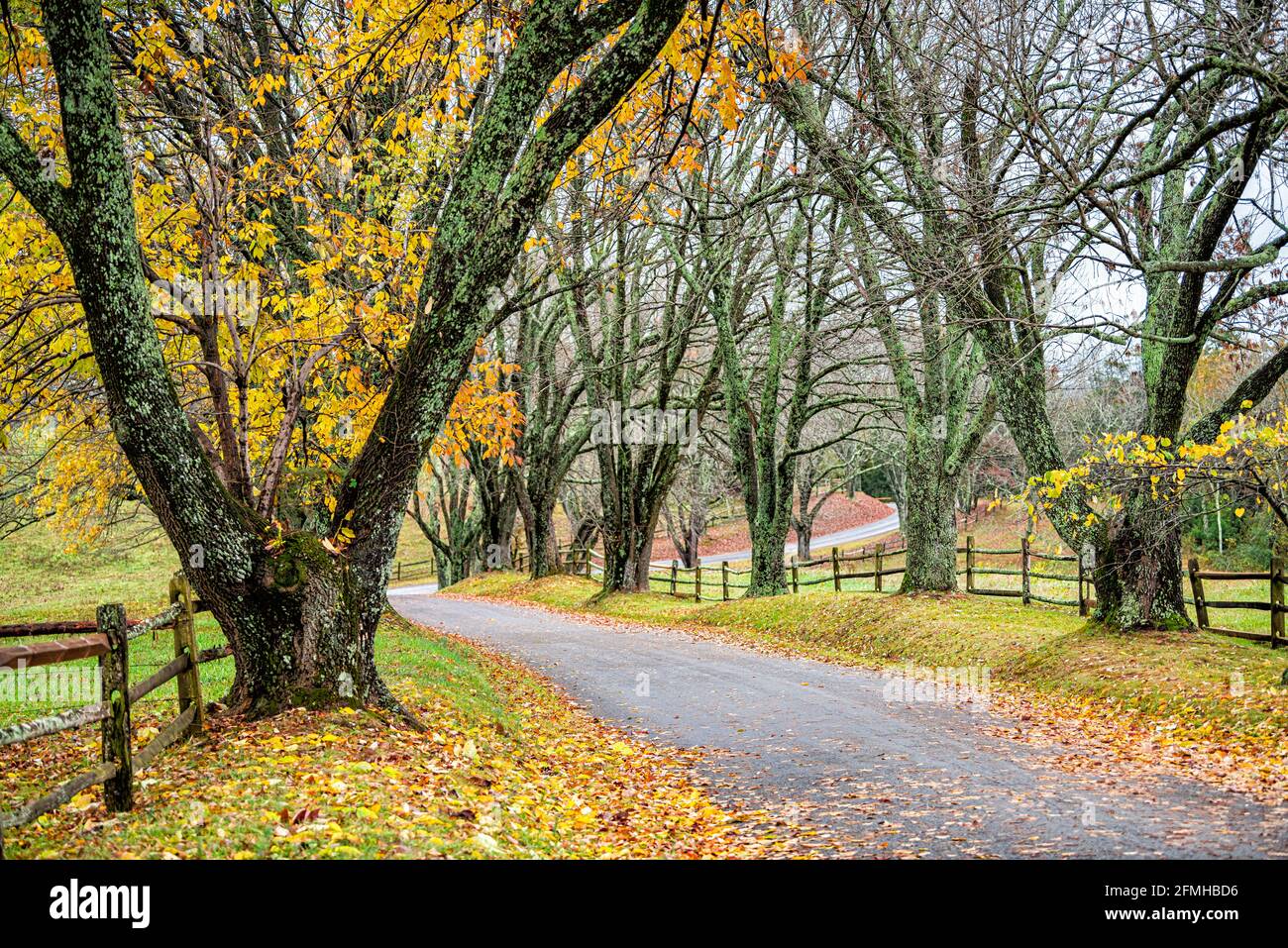 Countryside narrow rural winding paved road to Ash Lawn-Highland, Home ...