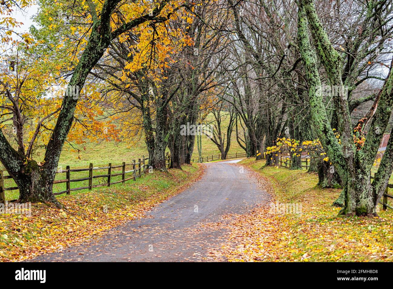 Countryside narrow rural winding paved road leading to Ash Lawn ...