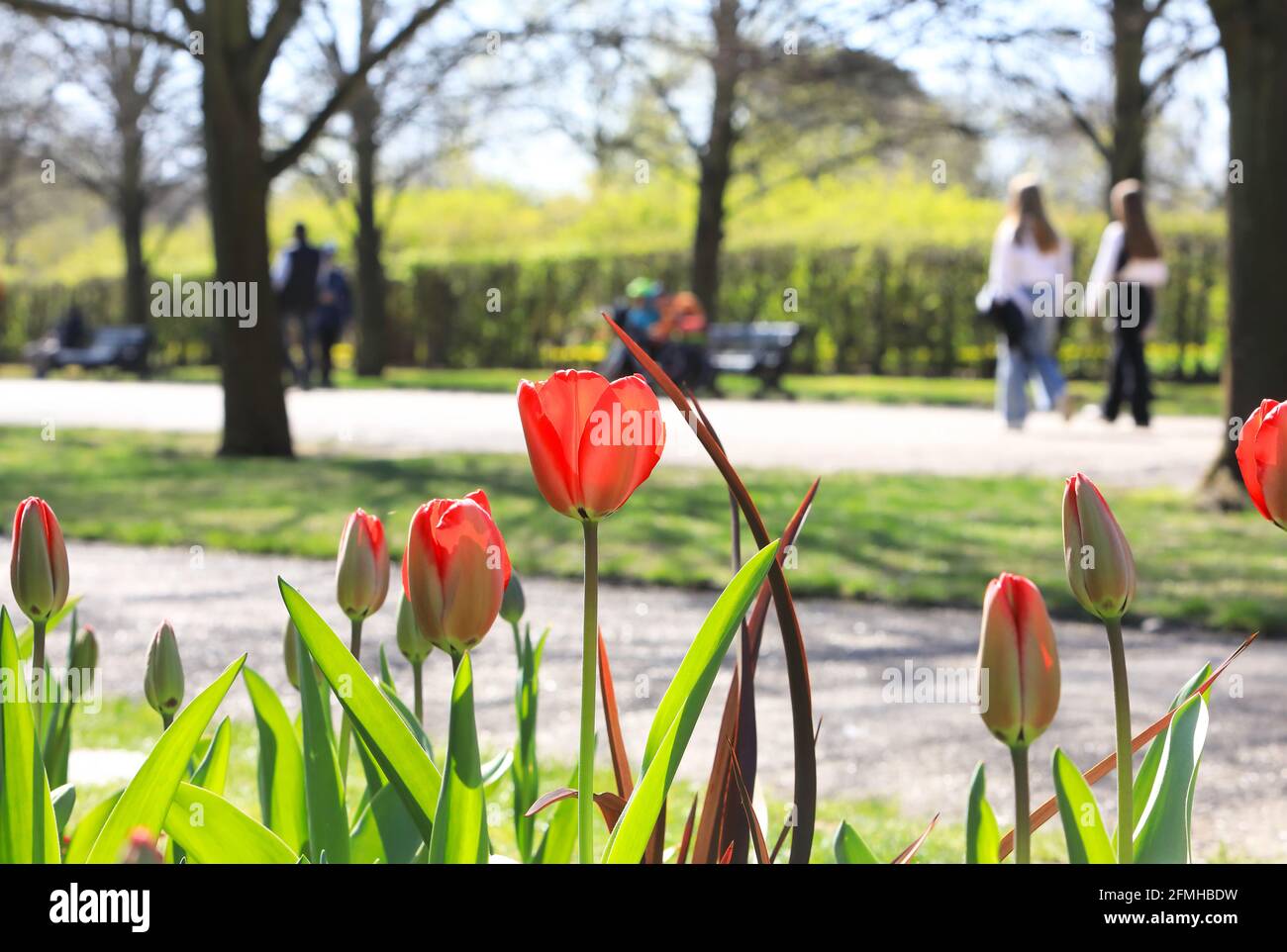 Spring april 2021 hi-res stock photography and images - Alamy