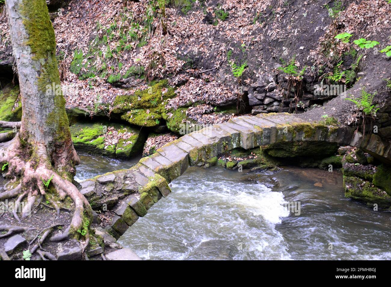 A narrow stone bridge over the River Spodden in Healey Dell nature ...