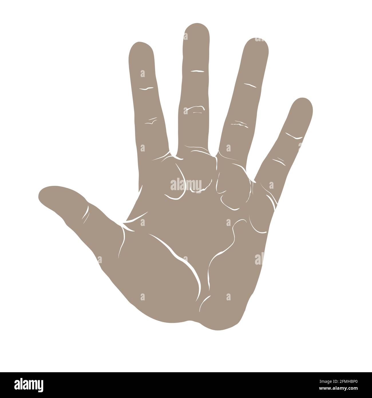 Palm side view of the hand, silhouette with internal details. Flat ...