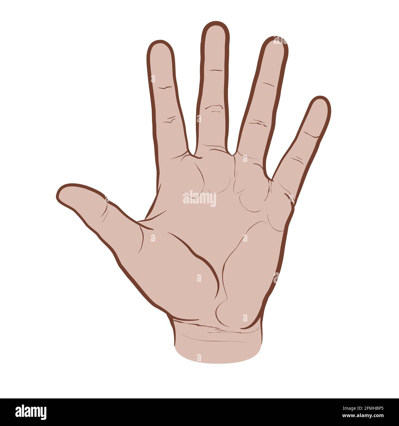 Hand Side View Drawing