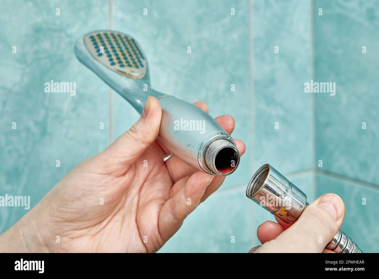 Clogged shower head is detached from flexible hose to be replaced with ...