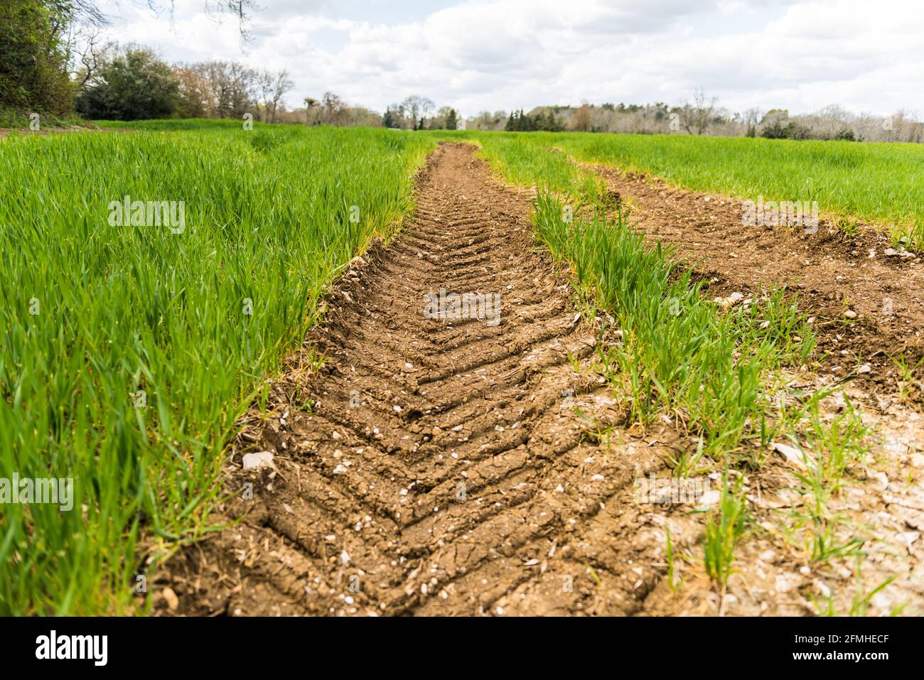 Farm tractor track on farm land Stock Photo - Alamy