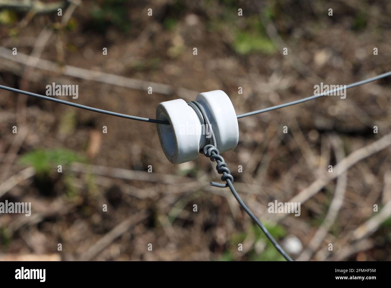 A close up of a electrical wire fence around a pasture Stock Photo - Alamy