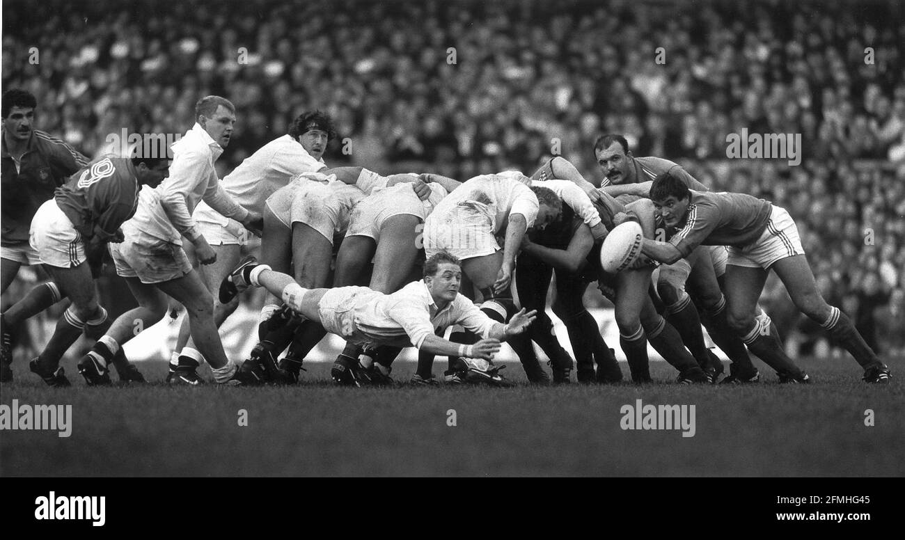 Dewi morris High Resolution Stock Photography and Images - Alamy