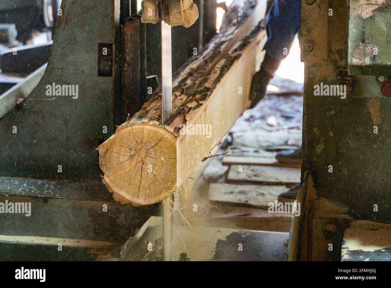 Sawmill cutting log process of making wood planks lumber and timber ...