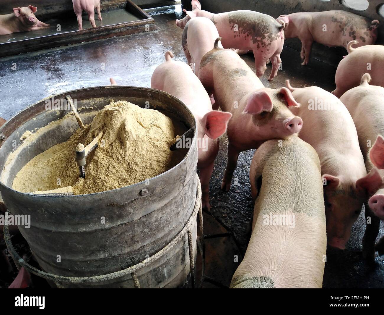 Density farming hi-res stock photography and images - Alamy